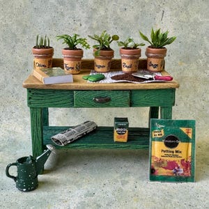 Miniature Herb Planting Set on Table - Terrarium - Fairy Garden ...