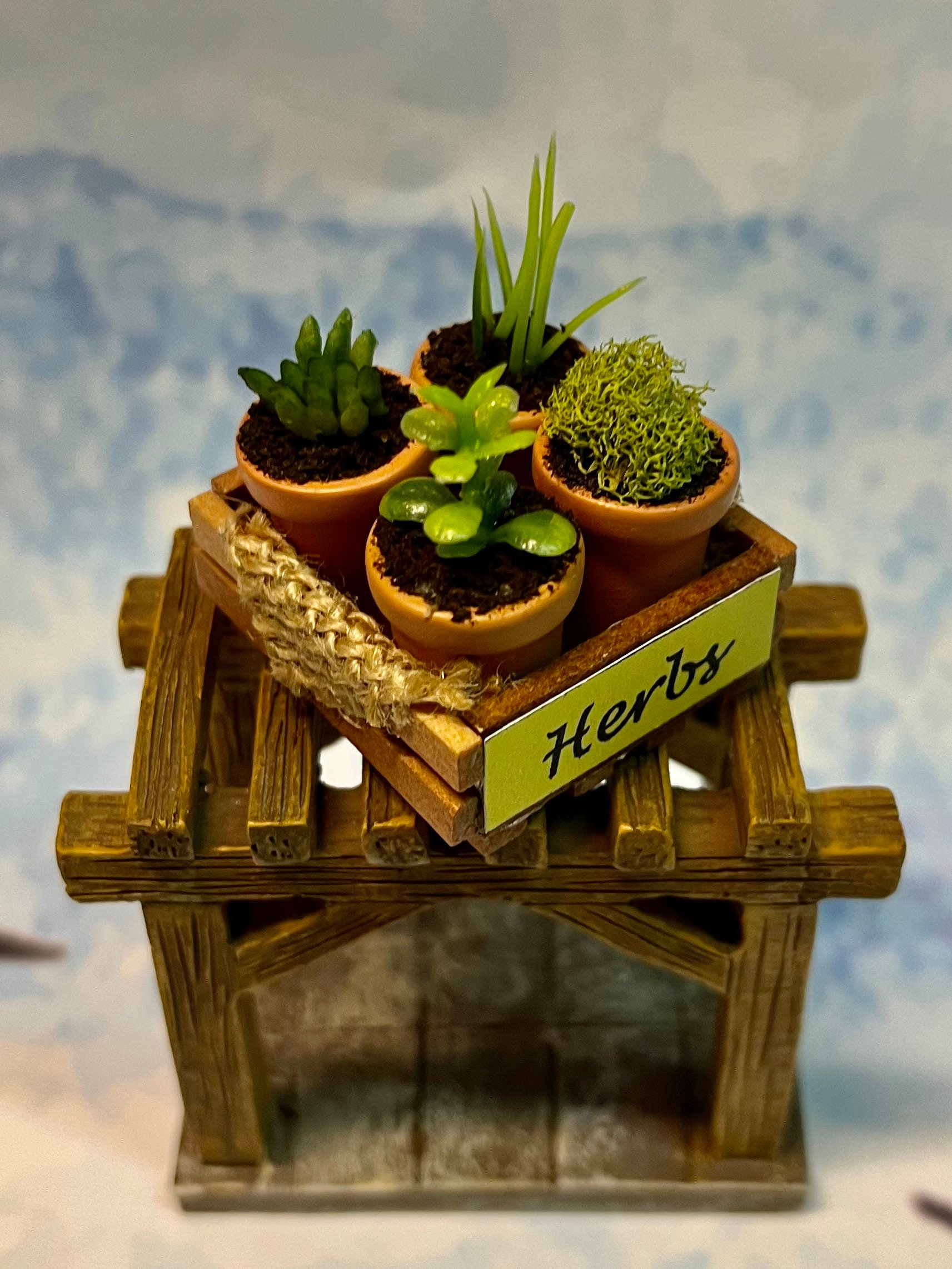 Miniature Herb Crate - Miniature Herbs - Cake Toppers - Fairy Garden ...