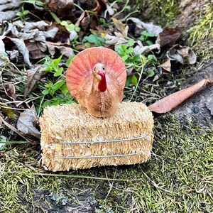 Miniature Turkey on Hay Bale With or Without Pumpkin- Your Choice ...