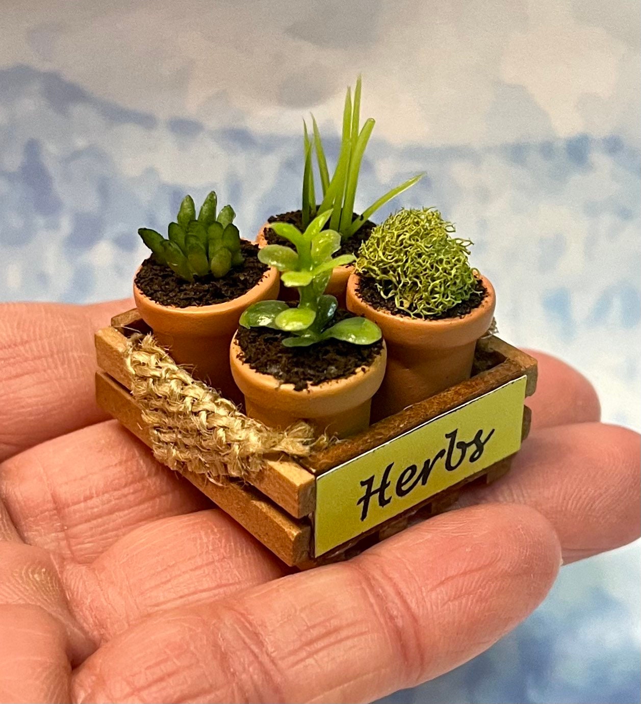Miniature Herb Crate - Miniature Herbs - Cake Toppers - Fairy Garden ...