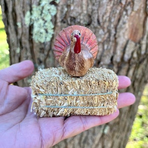Miniature Turkey on Hay Bale With or Without Pumpkin- Your Choice ...