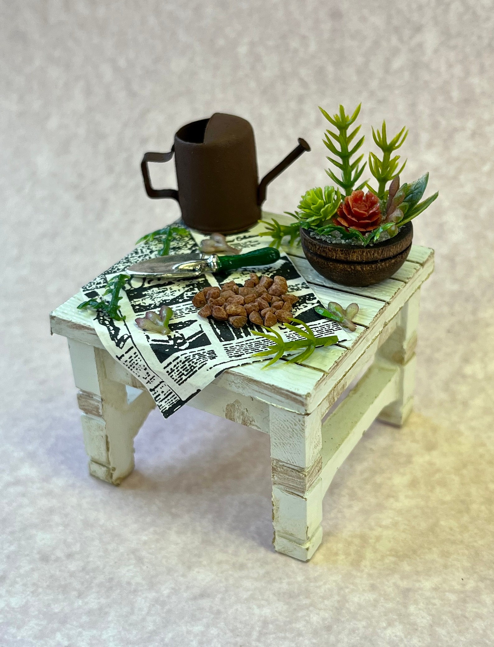 Miniature Succulent Planting Set on Table - Terrarium - Fairy Garden ...