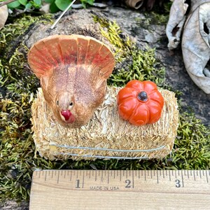 Miniature Turkey on Hay Bale With or Without Pumpkin- Your Choice ...
