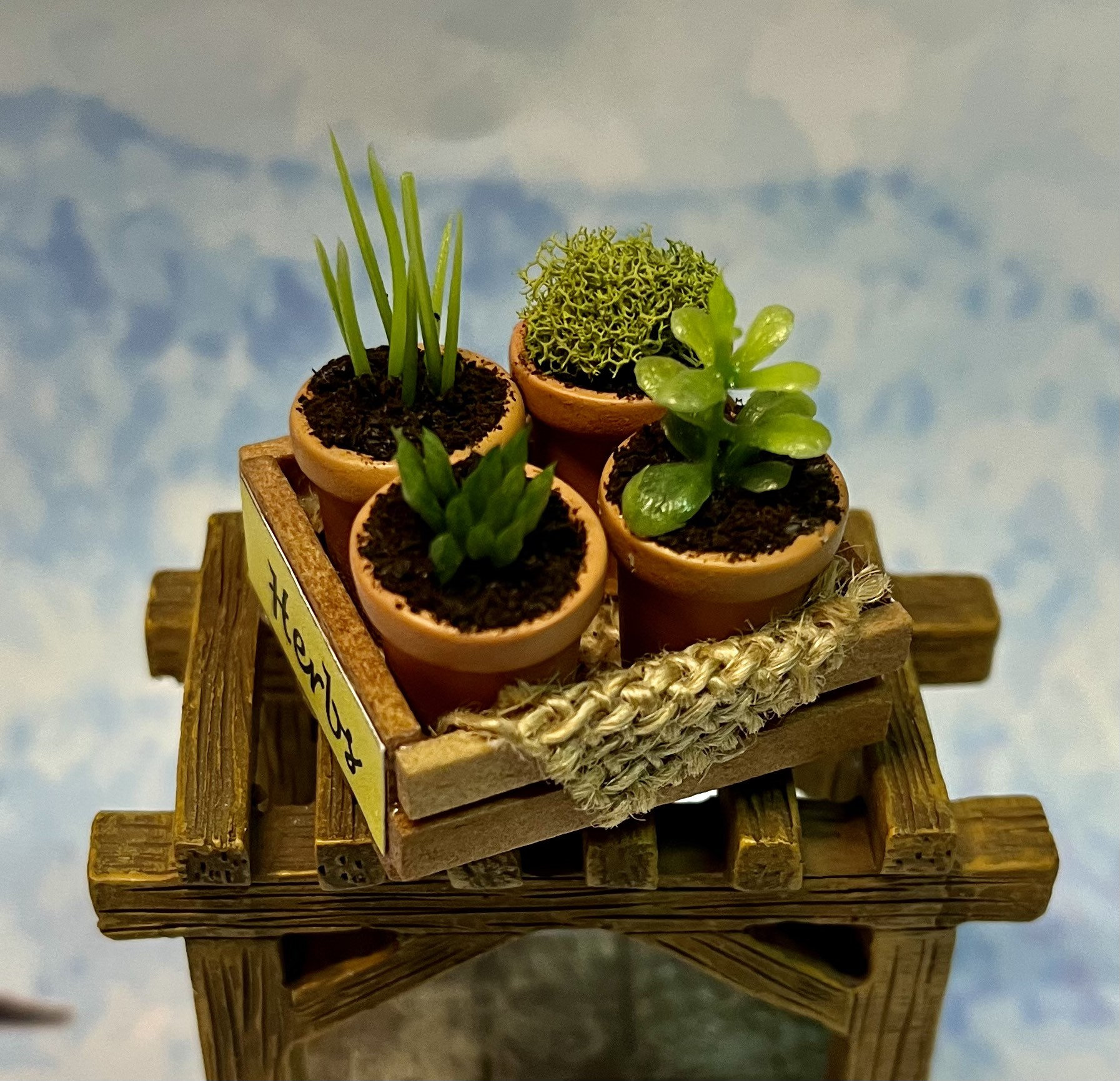 Miniature Herb Crate - Miniature Herbs - Cake Toppers - Fairy Garden ...