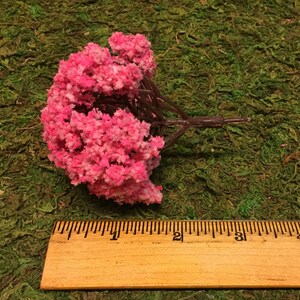 Miniature Spring Trees Your Color Choice Outdoor | Etsy