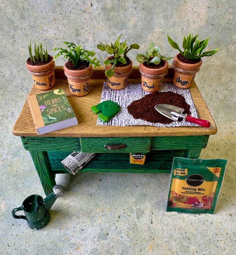Miniature Herb Planting Set on Table - Terrarium - Fairy Garden ...