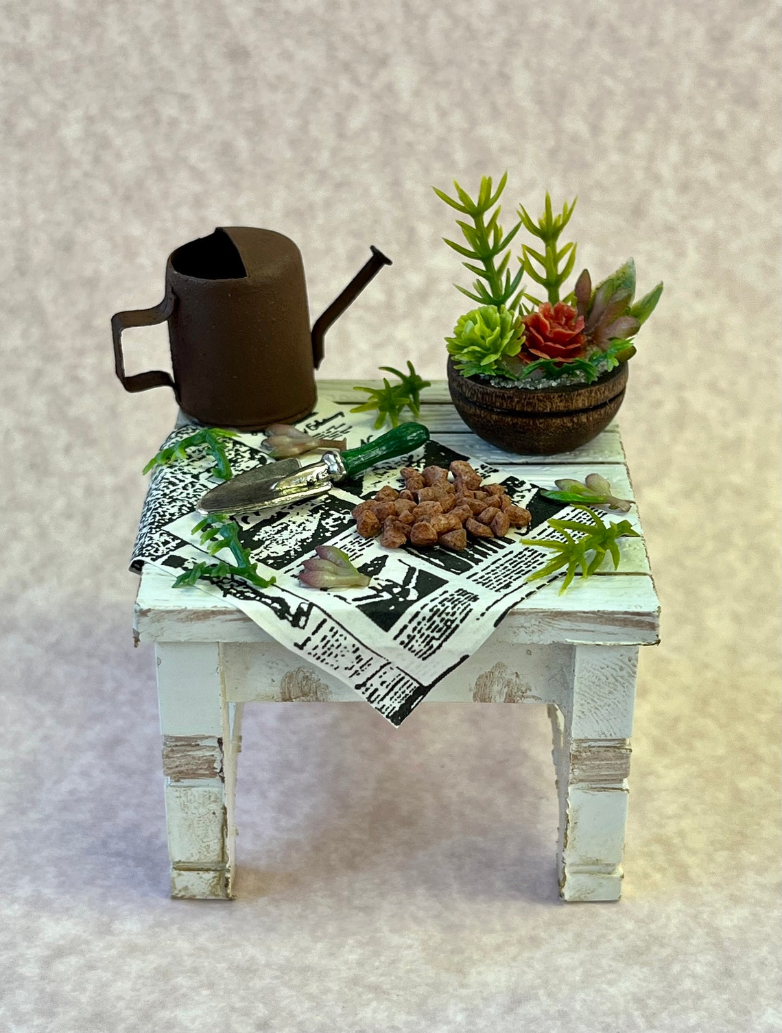 Miniature Succulent Planting Set on Table - Terrarium - Fairy Garden ...