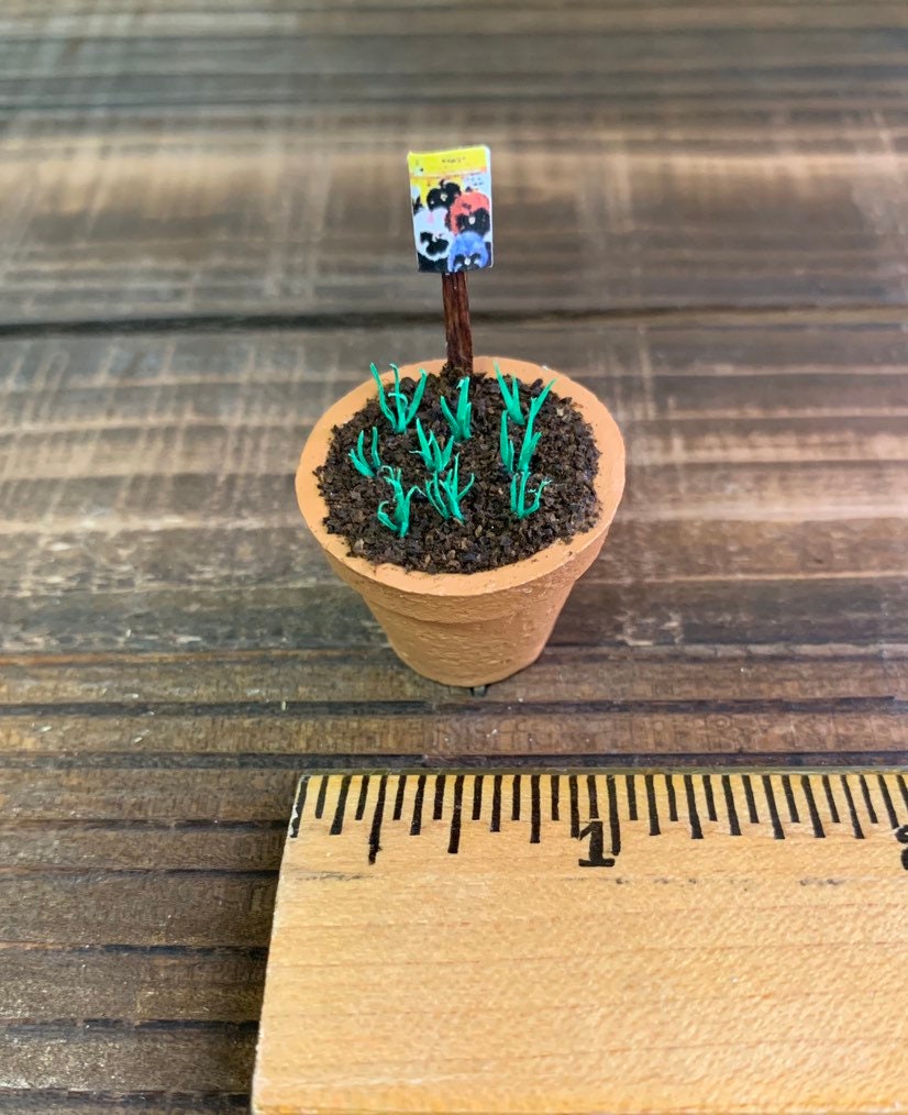 Miniature Pansy Sprouts in Terra Cotta Pot -one Inch Scale -fairy ...