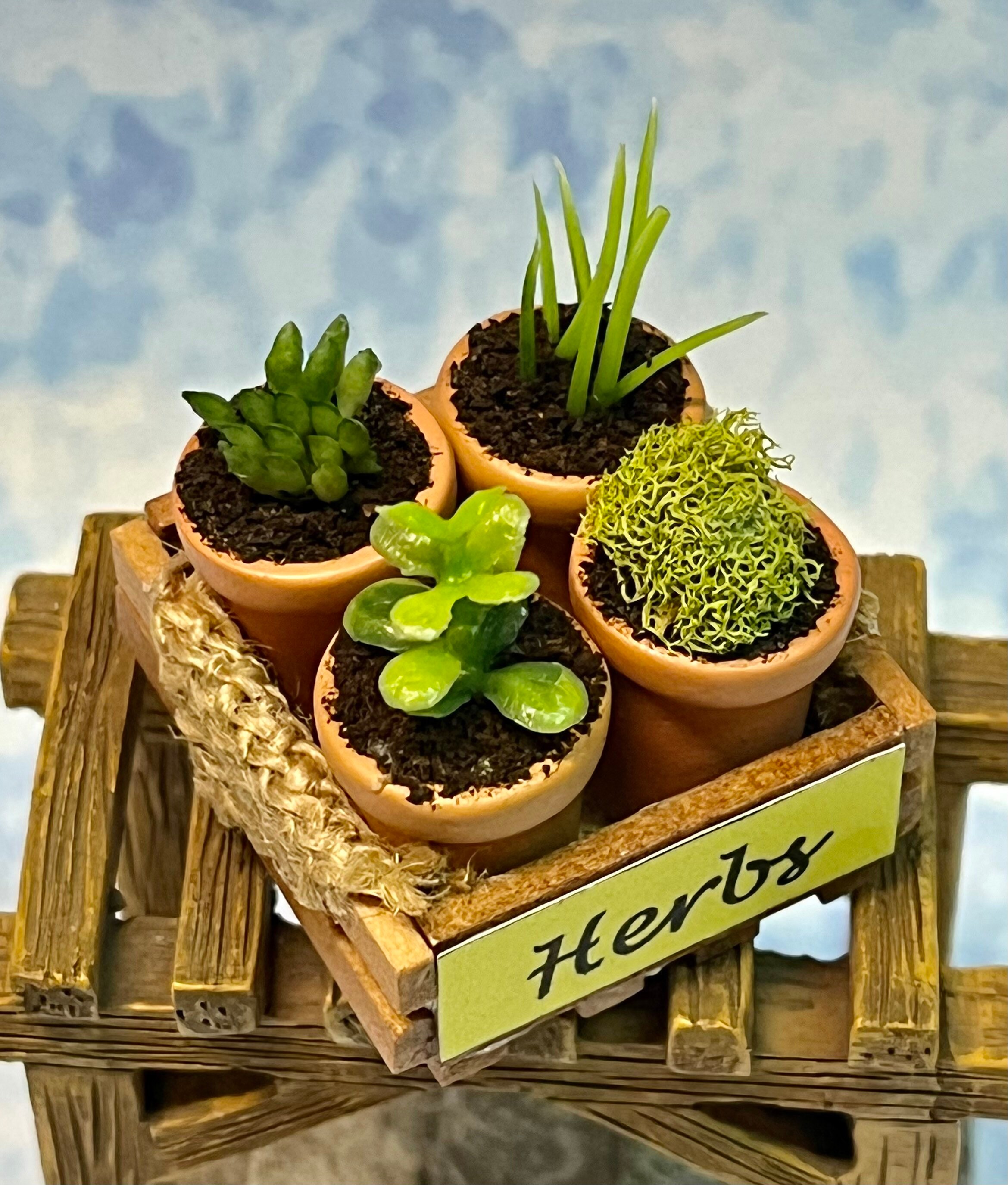 Miniature Herb Crate - Miniature Herbs - Cake Toppers - Fairy Garden ...