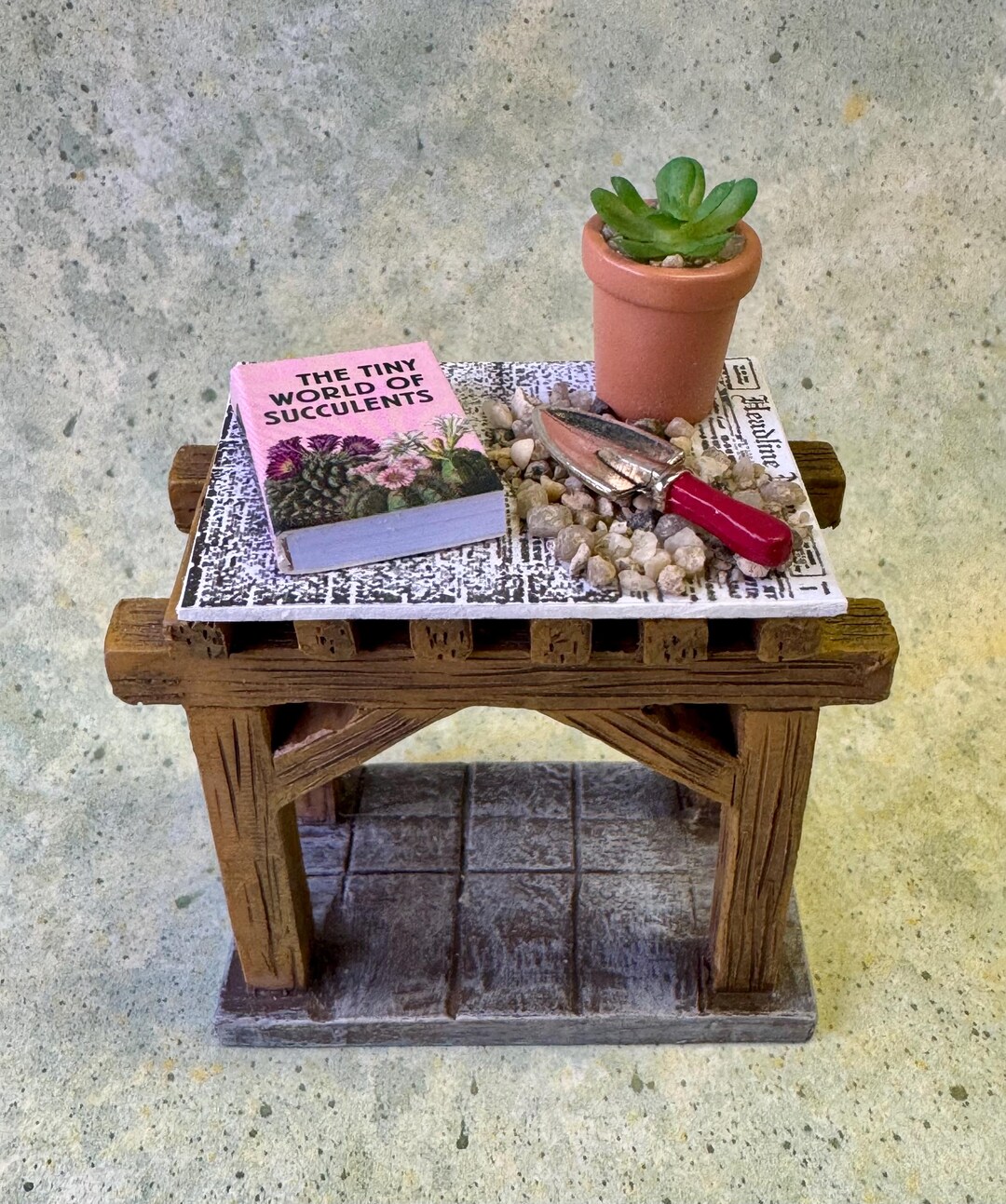 Miniature Succulent Planting Set - Table NOT Included- Terrarium ...