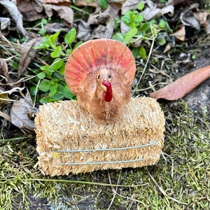 Miniature Turkey on Hay Bale With or Without Pumpkin- Your Choice ...