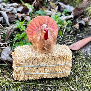 Miniature Turkey on Hay Bale With or Without Pumpkin- Your Choice ...