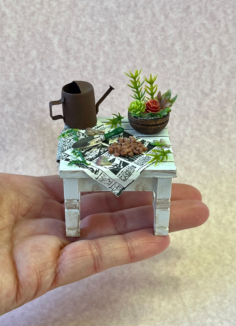 Miniature Succulent Planting Set on Table - Terrarium - Fairy Garden ...