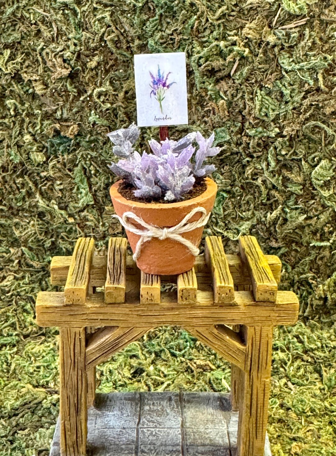 Miniature Pot of Lavender With Seed Packet - Miniature Flowers ...