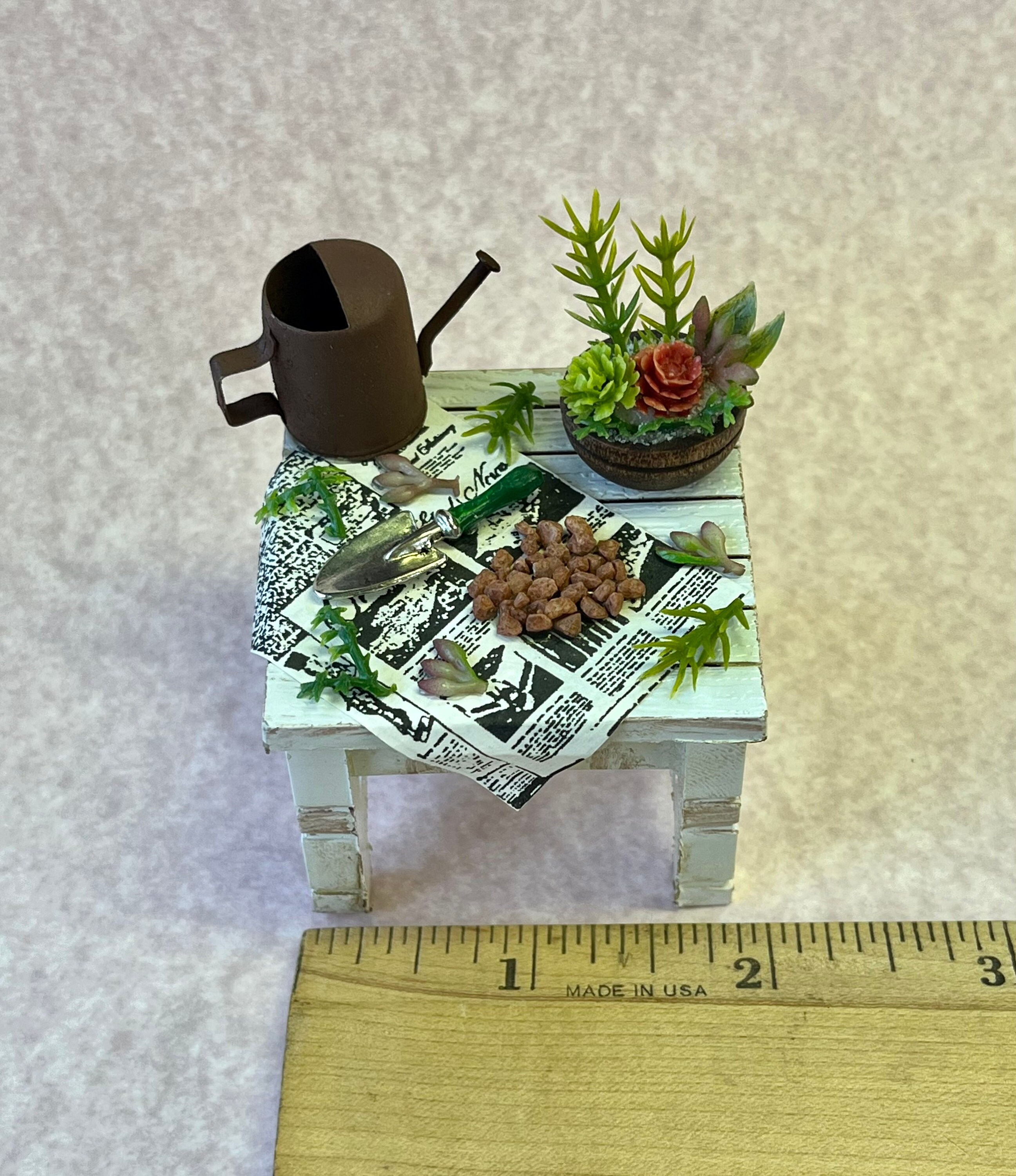 Miniature Succulent Planting Set on Table - Terrarium - Fairy Garden ...