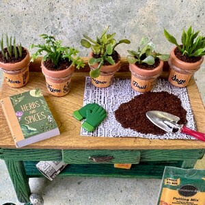 Miniature Herb Planting Set on Table - Terrarium - Fairy Garden ...