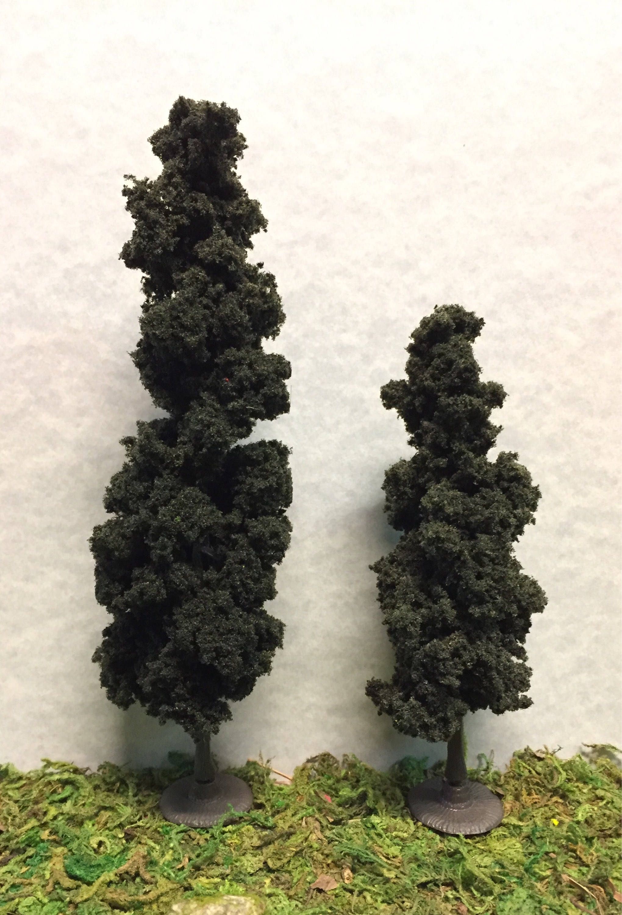 Miniature Conifer Trees Outdoor Miniatures Miniature Trees | Etsy