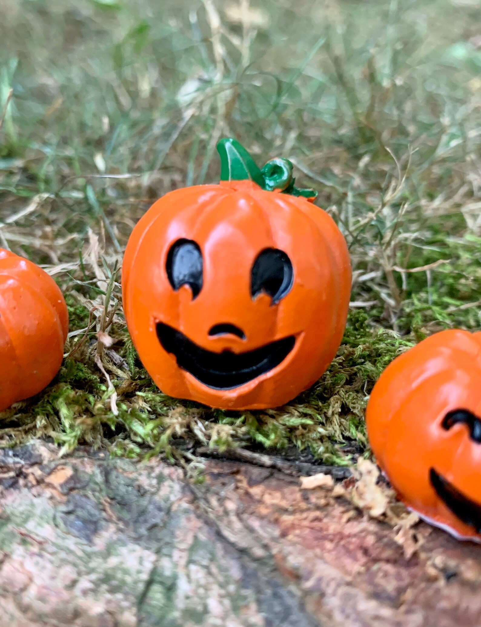 Miniature Pumpkins Your Choice Miniature Halloween - Etsy