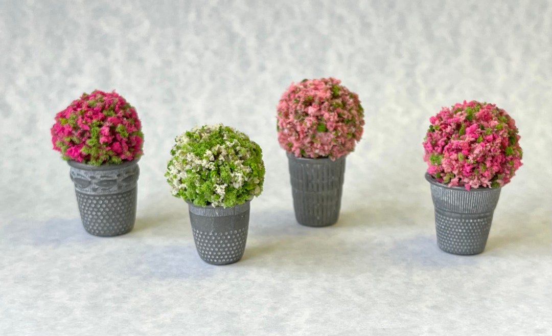 Miniature Topiary in Pot - Your Choice - Miniature Flowers - Miniature ...