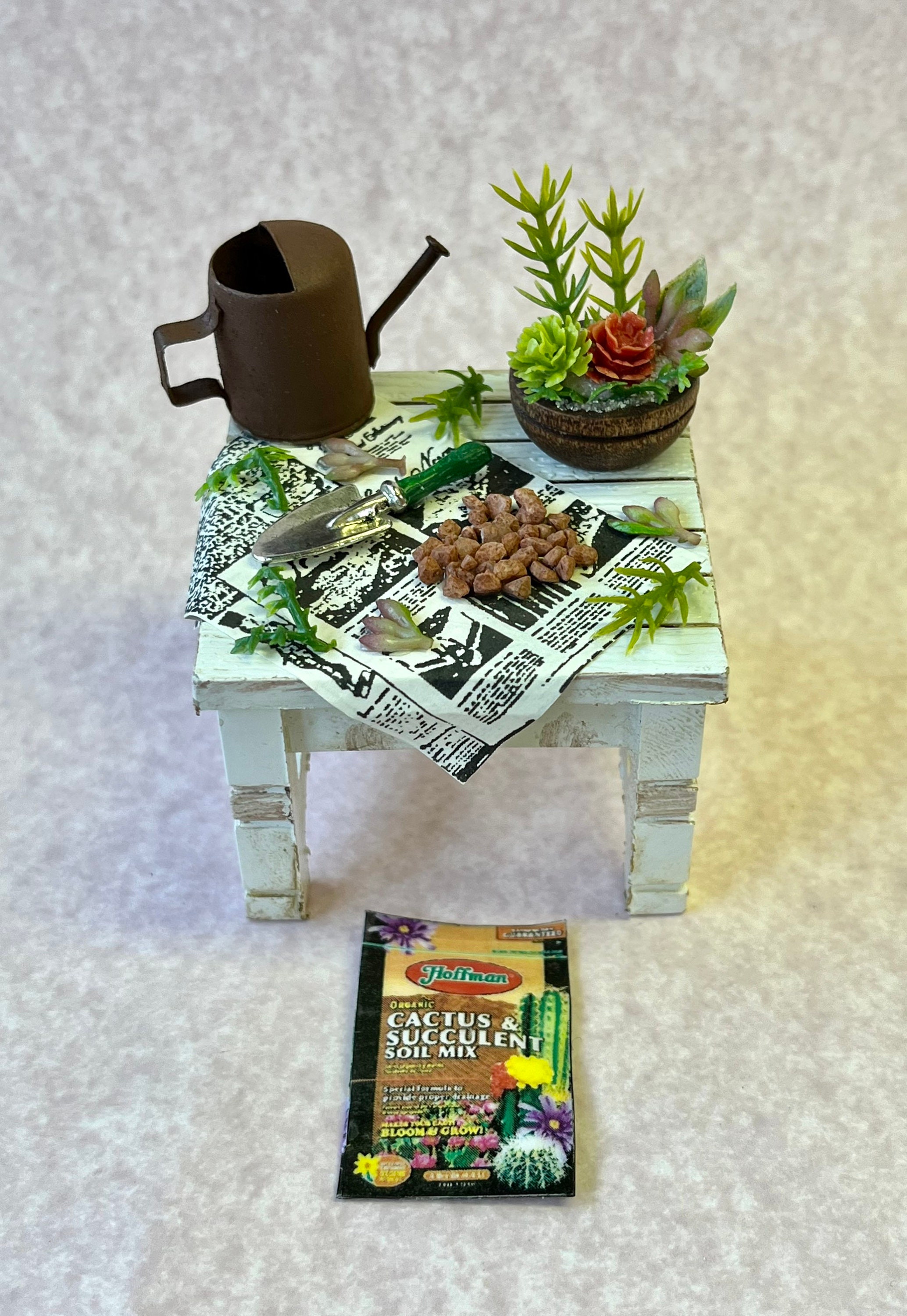 Miniature Succulent Planting Set on Table - Terrarium - Fairy Garden ...