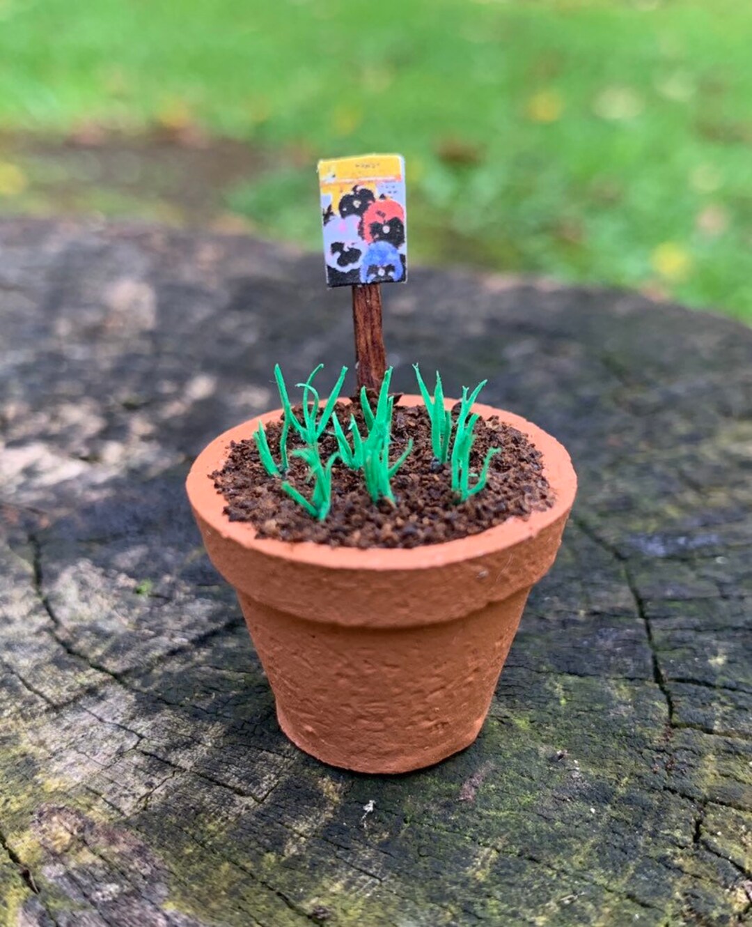 Miniature Pansy Sprouts in Terra Cotta Pot -one Inch Scale -fairy ...