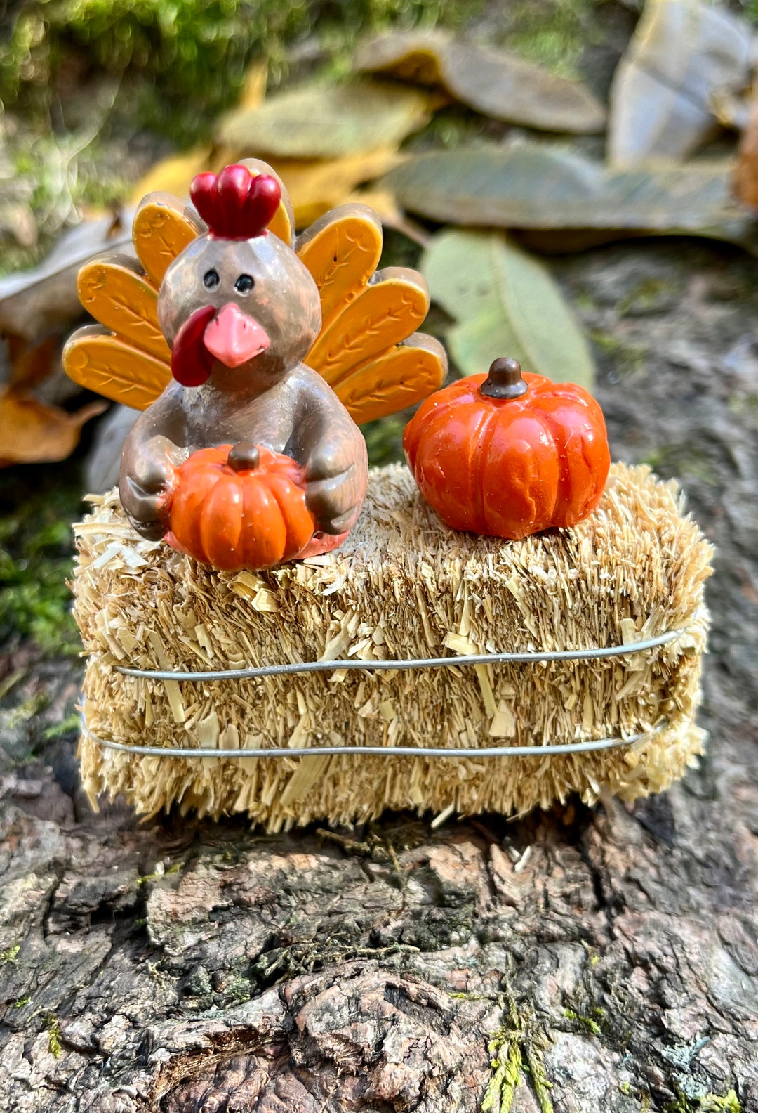 Miniature Turkey on Hay Bale Holding Pumpkin With Large Pumpkin ...