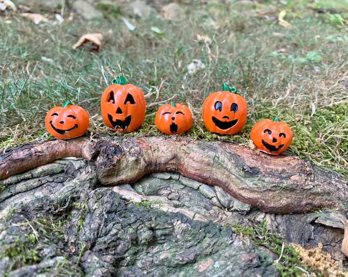 Miniature Pumpkins Your Choice Miniature Halloween | Etsy