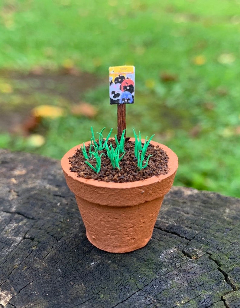 Miniature Pansy Sprouts in Terra Cotta Pot -one Inch Scale -fairy ...