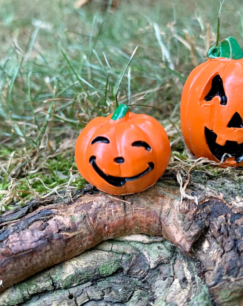 Miniature Pumpkins Your Choice Miniature Halloween - Etsy