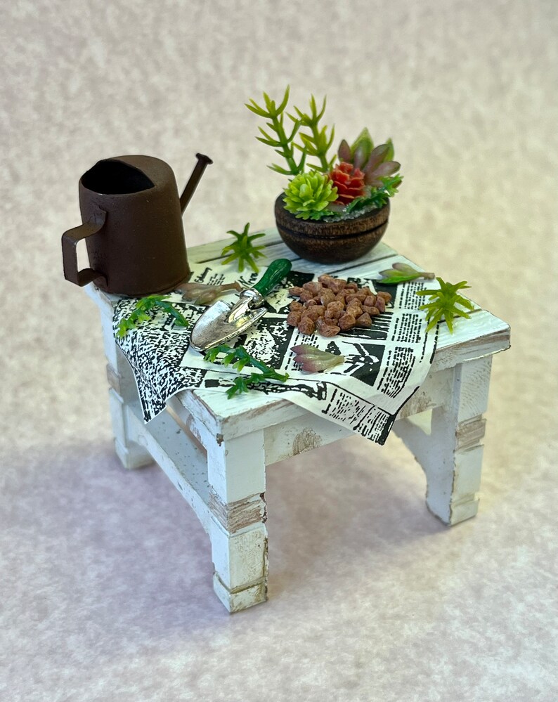Miniature Succulent Planting Set on Table - Terrarium - Fairy Garden ...