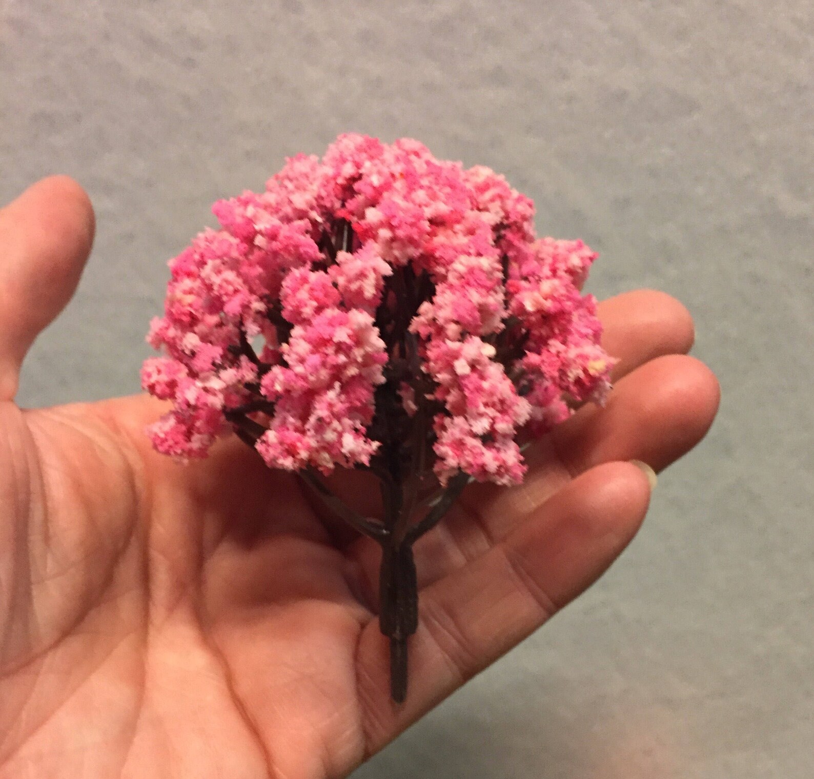 Miniature Spring Trees Your Color Choice Outdoor - Etsy