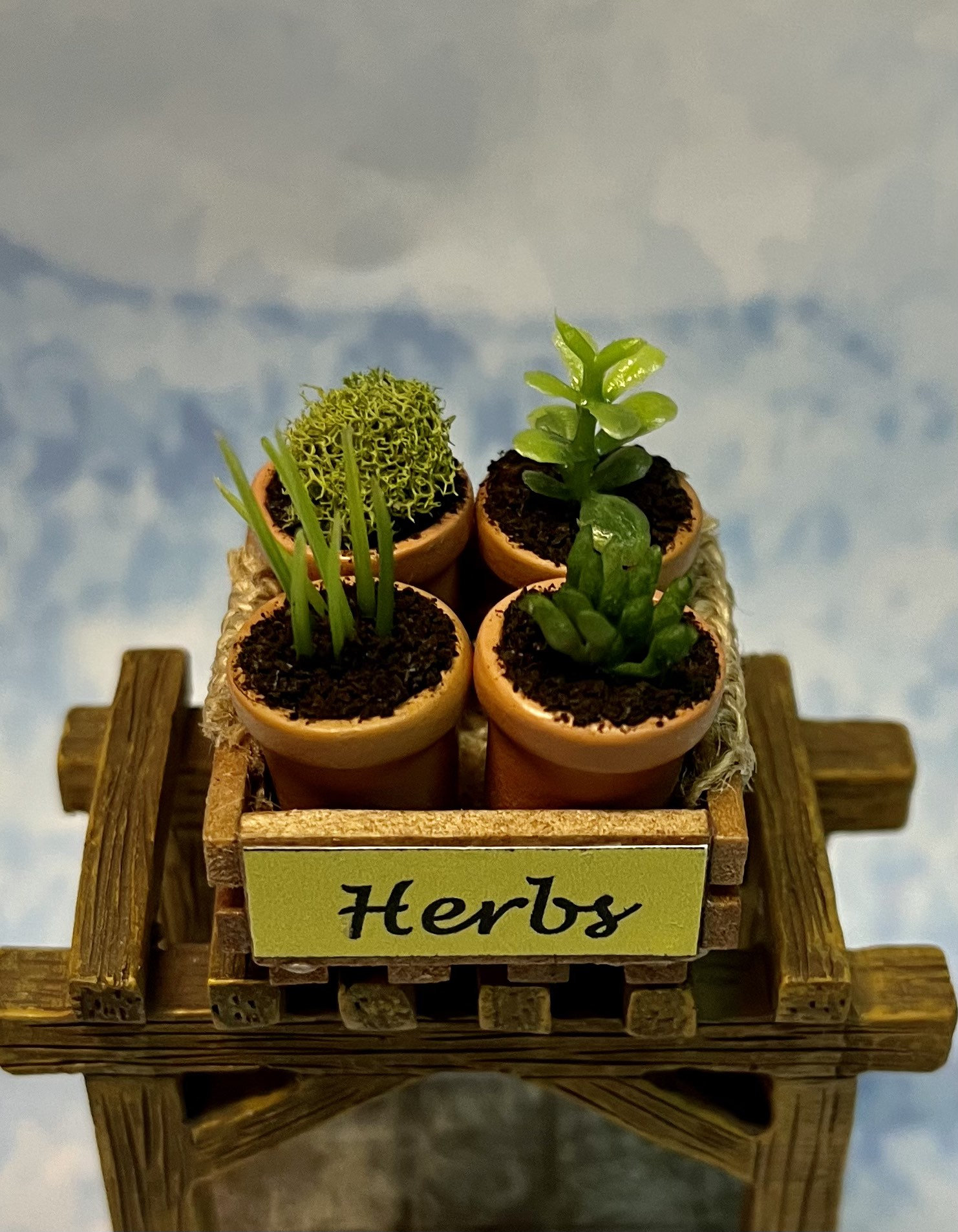 Miniature Herb Crate - Miniature Herbs - Cake Toppers - Fairy Garden ...