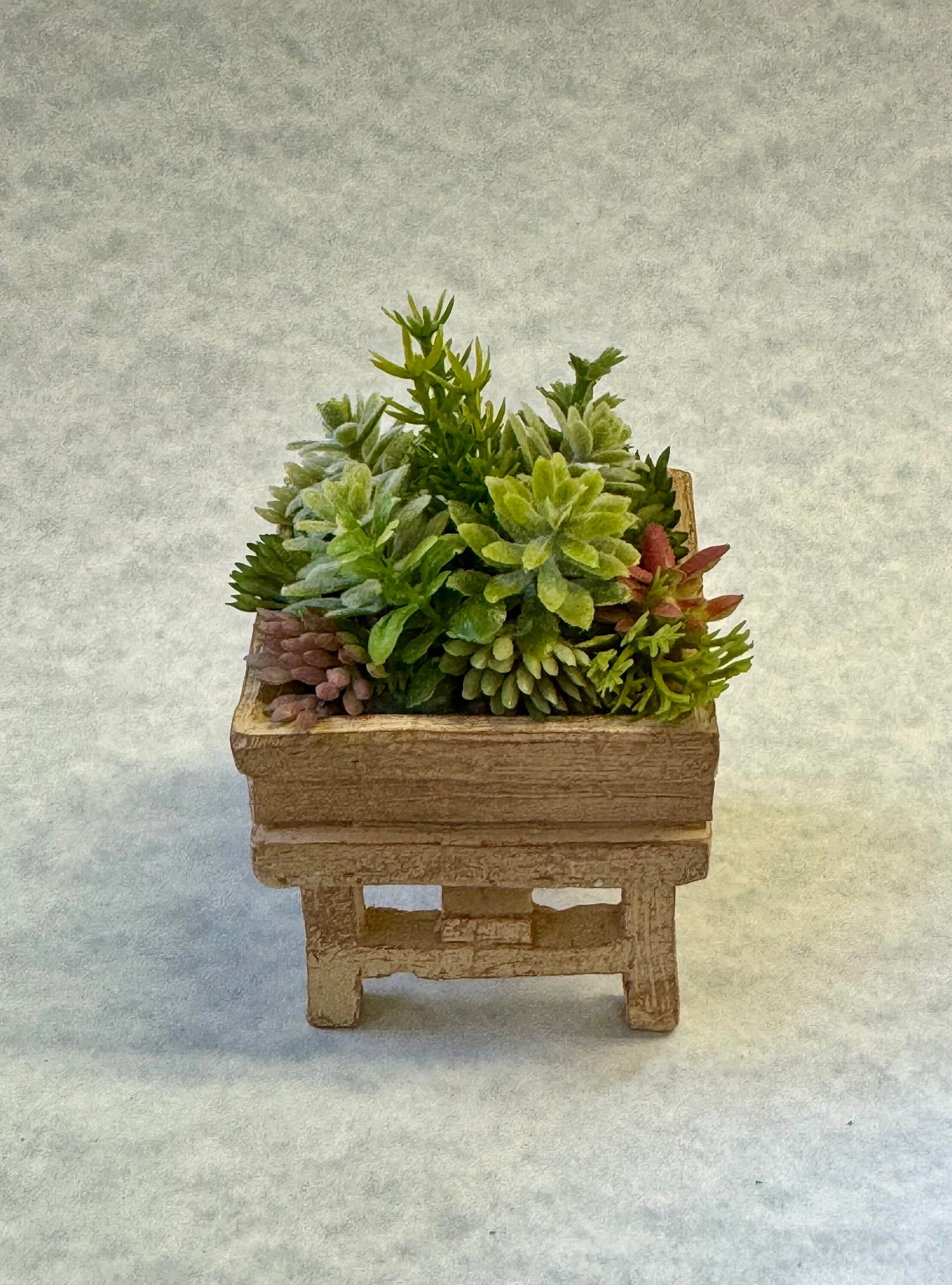 Miniature Succulent Table - Terrarium - Fairy Garden - Miniature ...