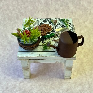 Miniature Succulent Planting Set on Table - Terrarium - Fairy Garden ...