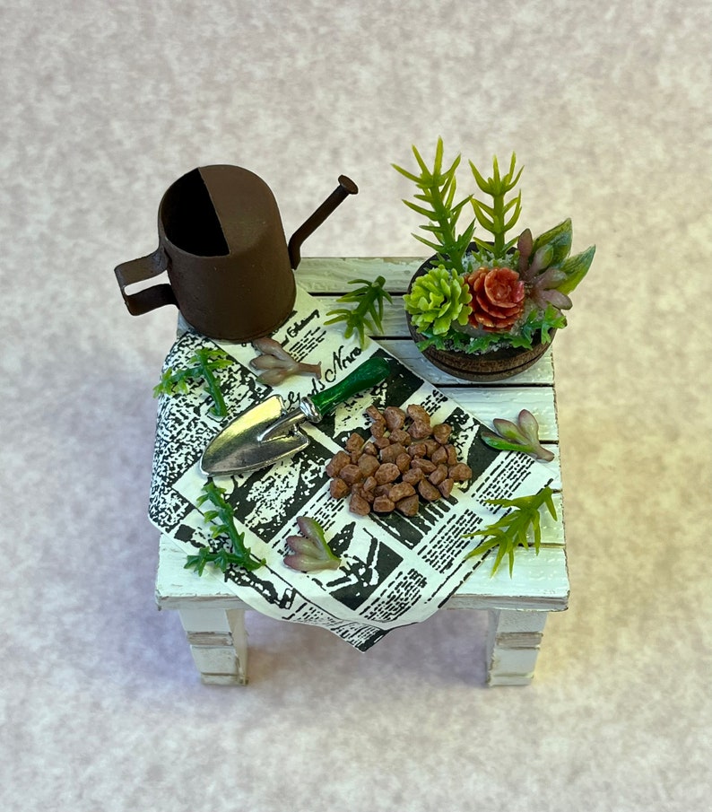 Miniature Succulent Planting Set on Table - Terrarium - Fairy Garden ...