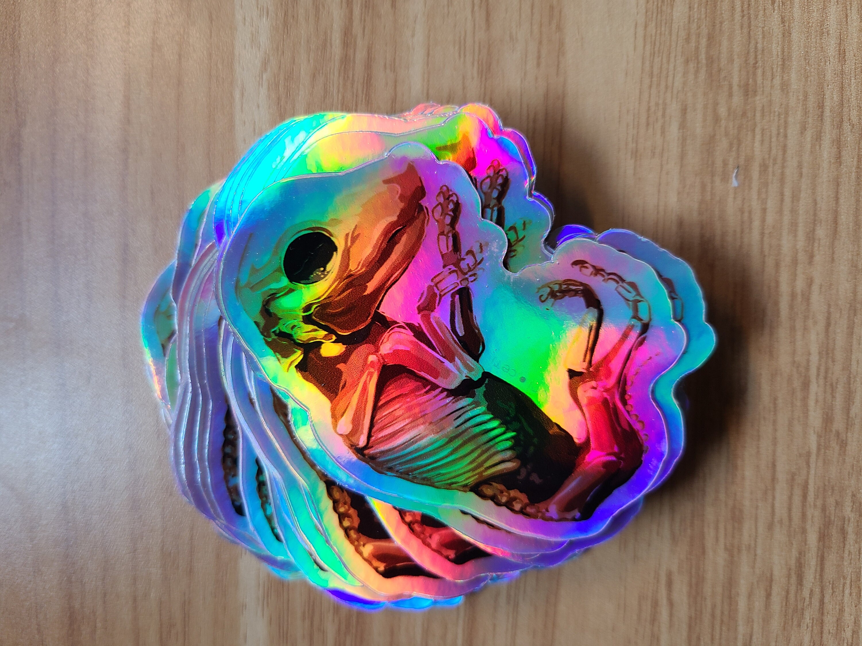 Mummified Fetal Pig Sticker - Etsy