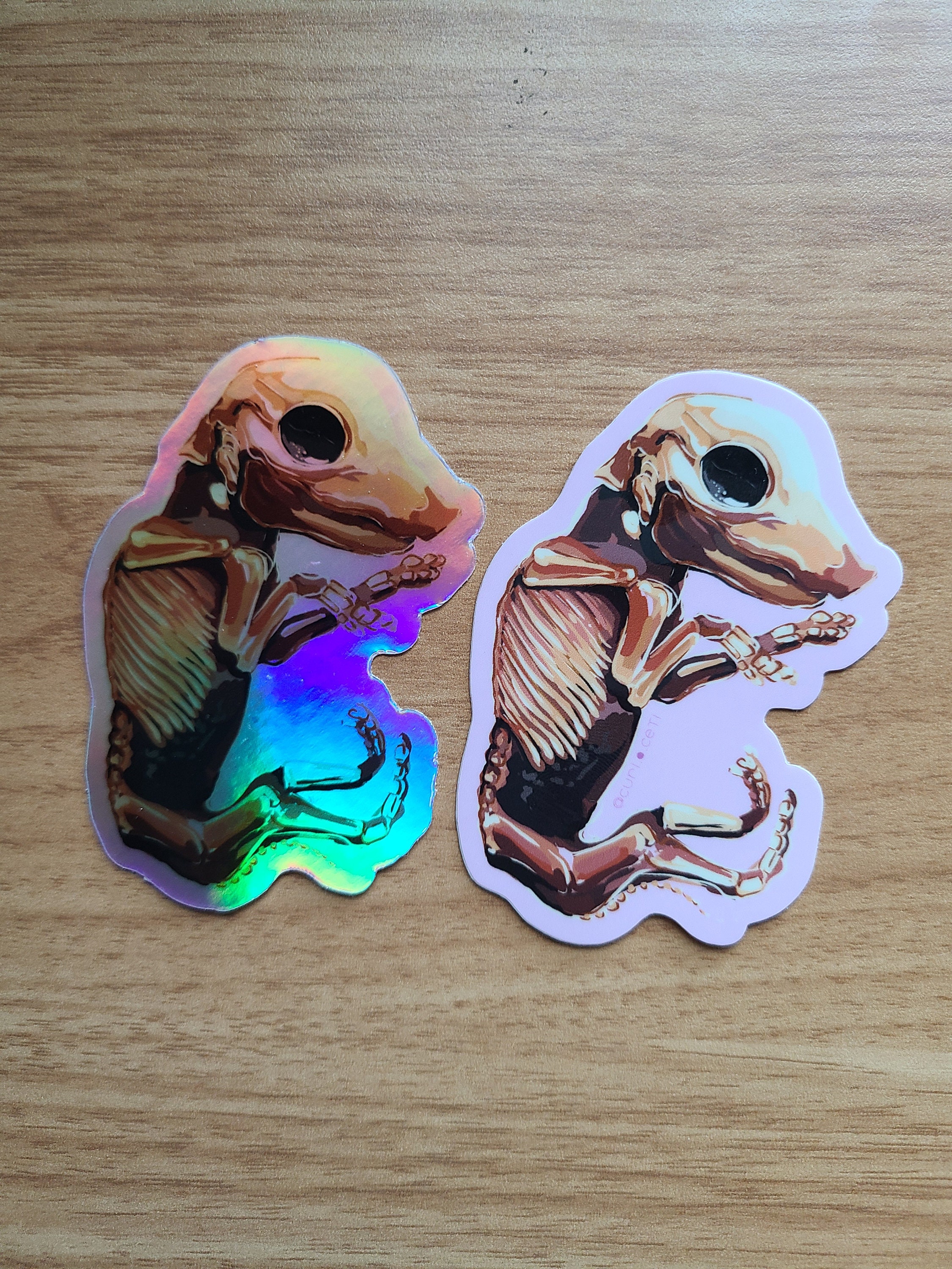 Mummified Fetal Pig Sticker - Etsy