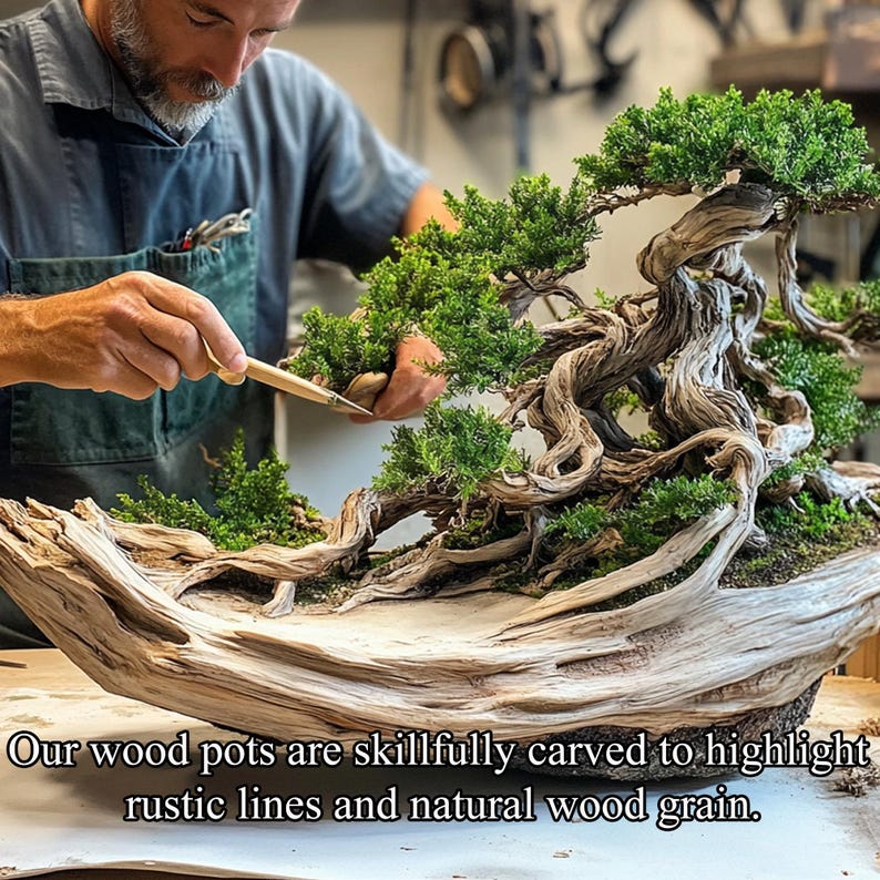 Custom Driftwood Bonsai Moss Marimo Pots Bonsai Artificial Plants ...