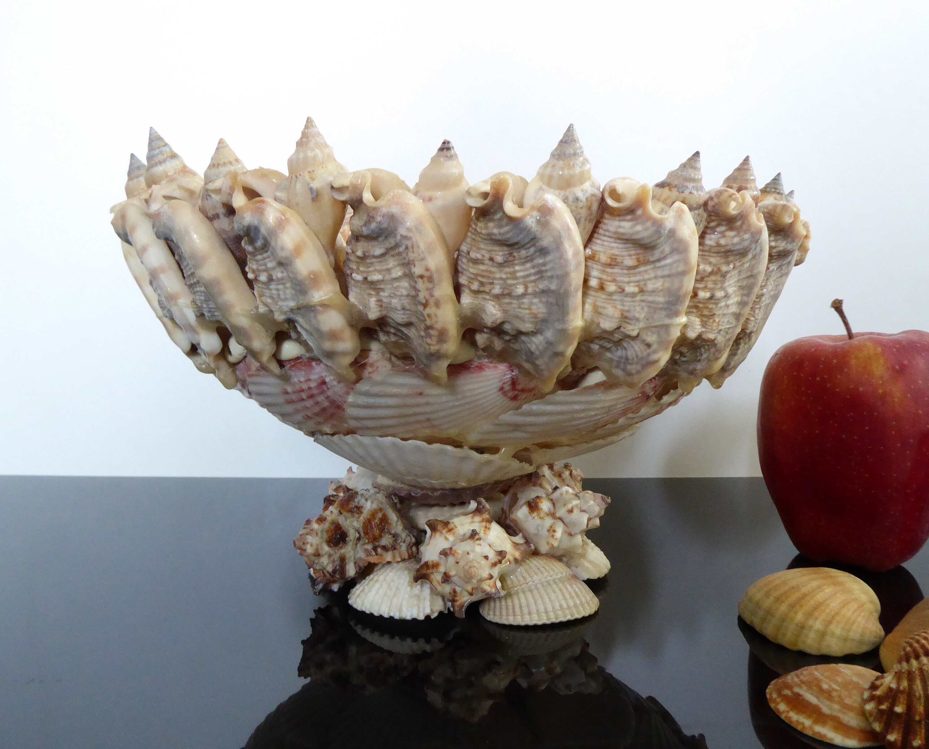 Seashell Bowl