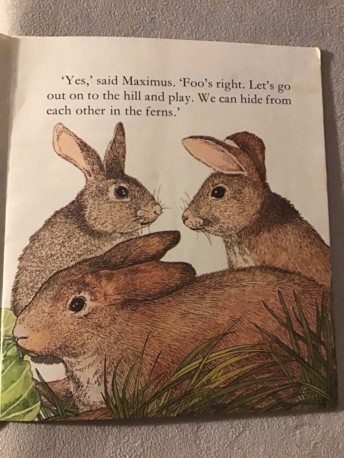 1970s the Foolish Rabbit Written by Terence Kelshaw - Etsy