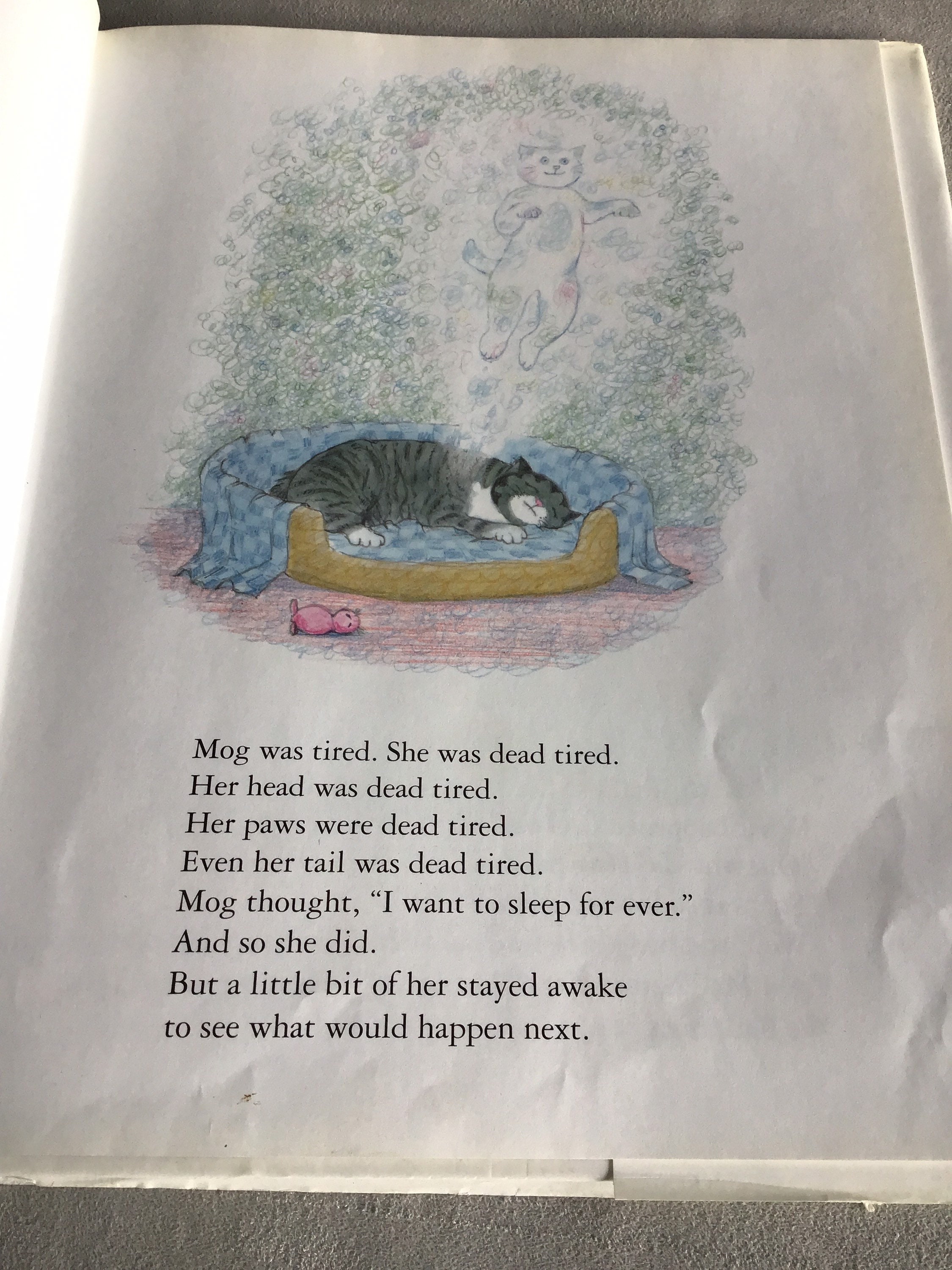 Good Bye Mog First Edition Hardback by Judith Kerr - Etsy UK