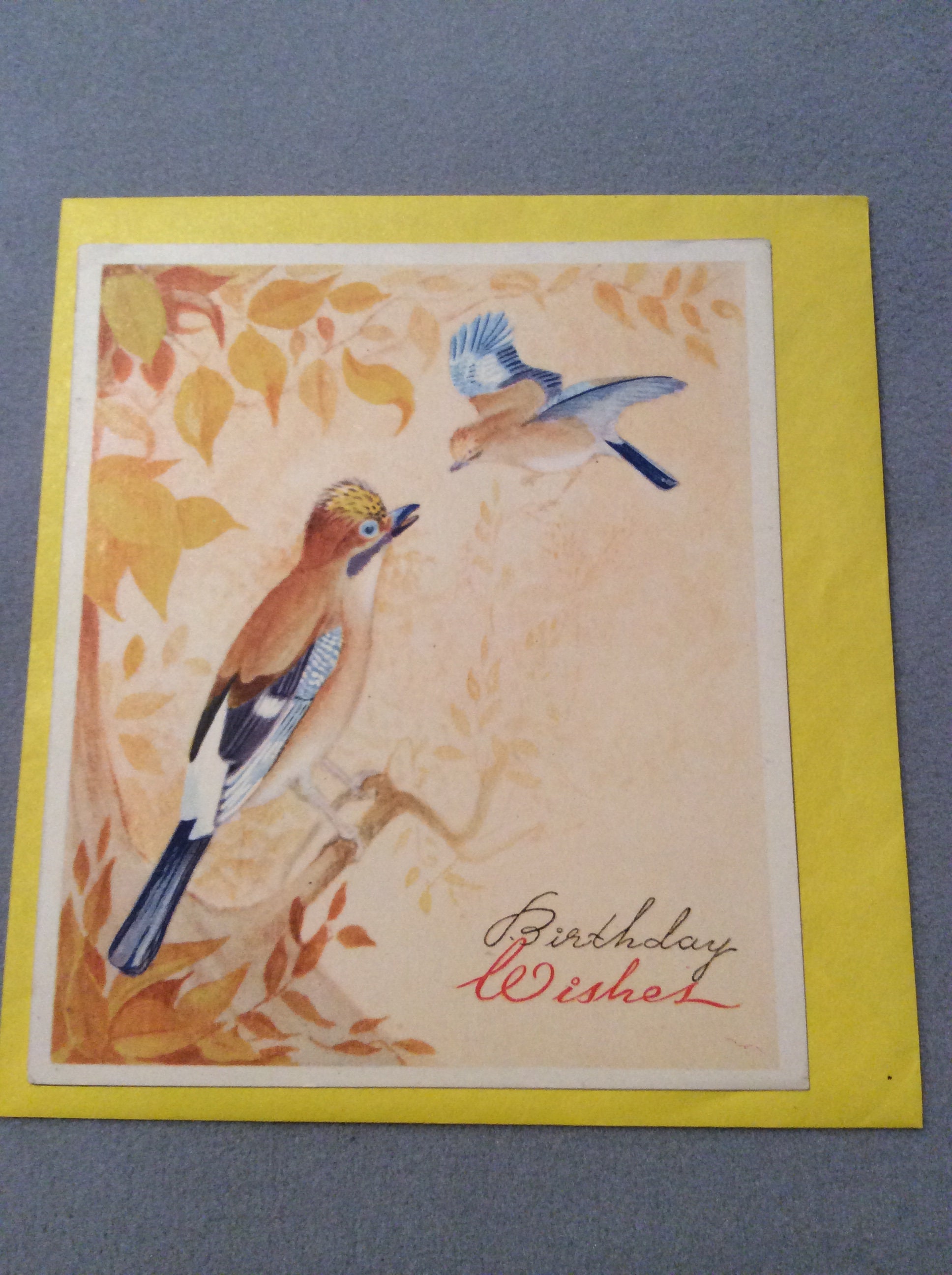 Vintage Jay Bird Design Original 1950s Birthday Card - Etsy