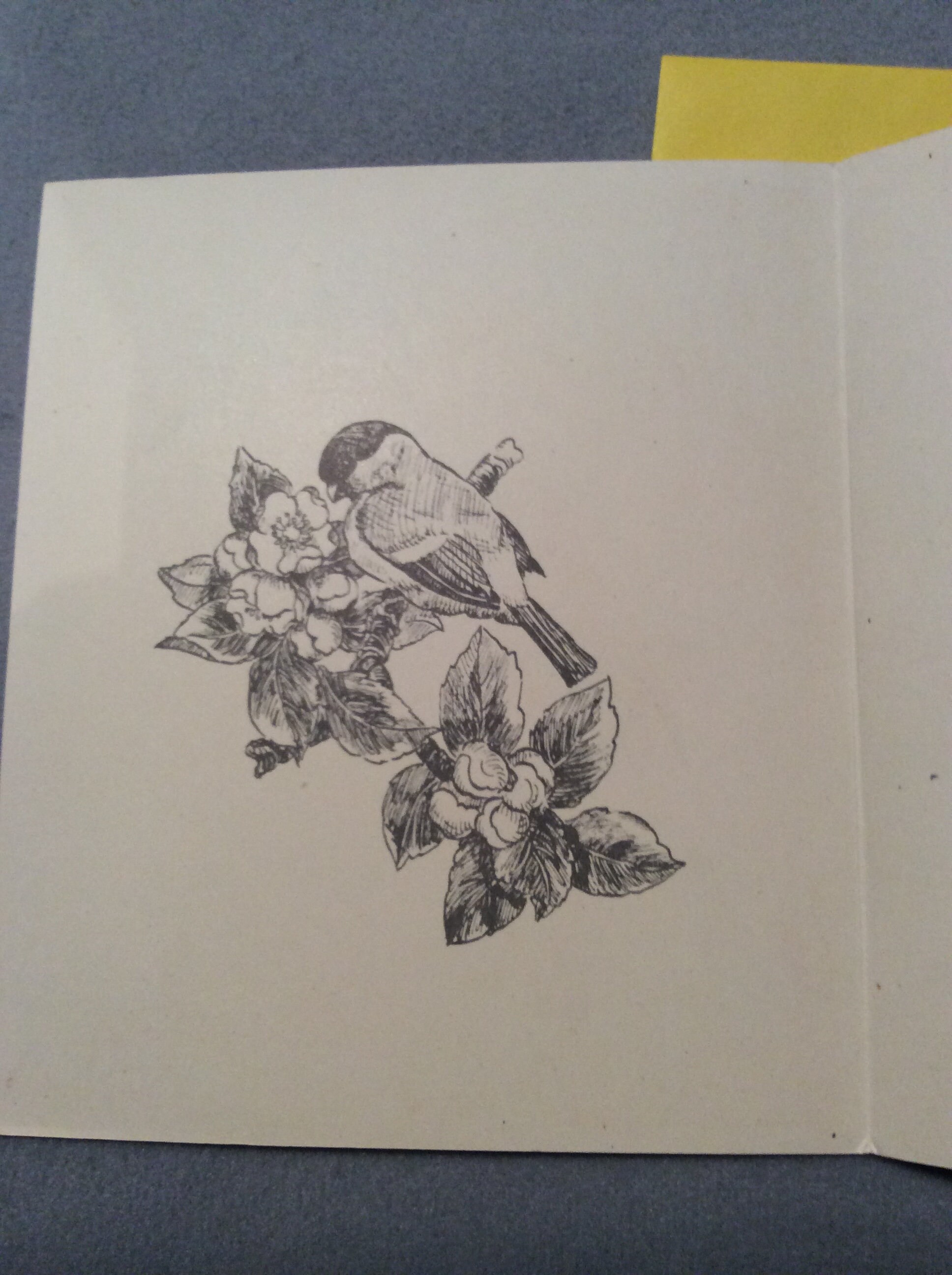 Vintage Jay Bird Design Original 1950s Birthday Card - Etsy