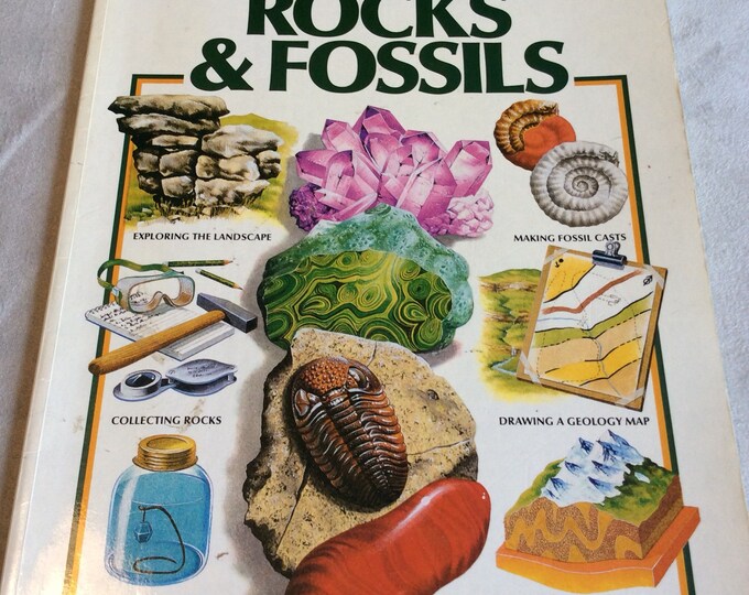 1980's the Usbourne Naturetrail Book of Rocks and Fossils. - Etsy