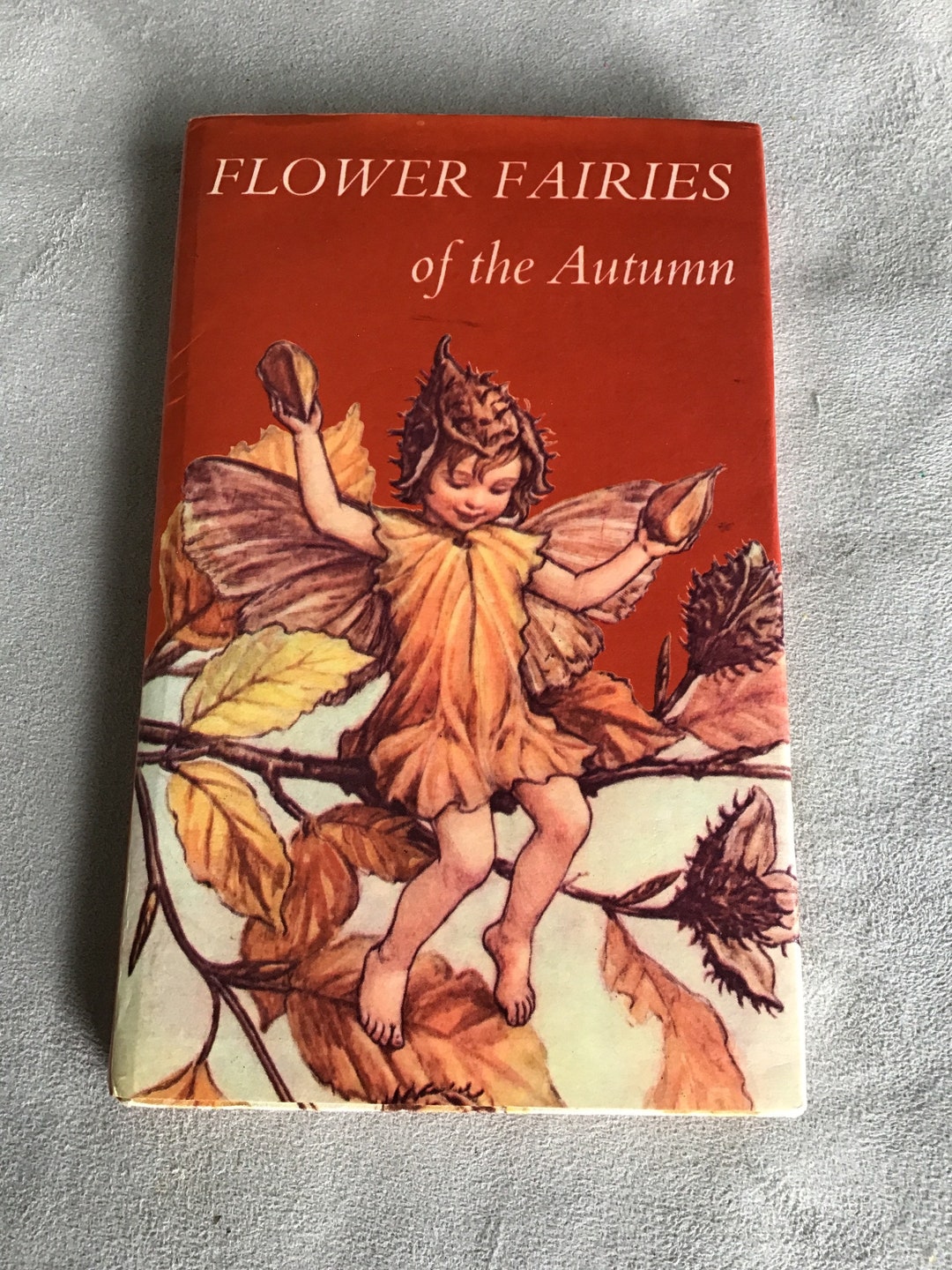 1970s Flower Fairies of Autumn Hard Back by Cecily Mary Barker - Etsy