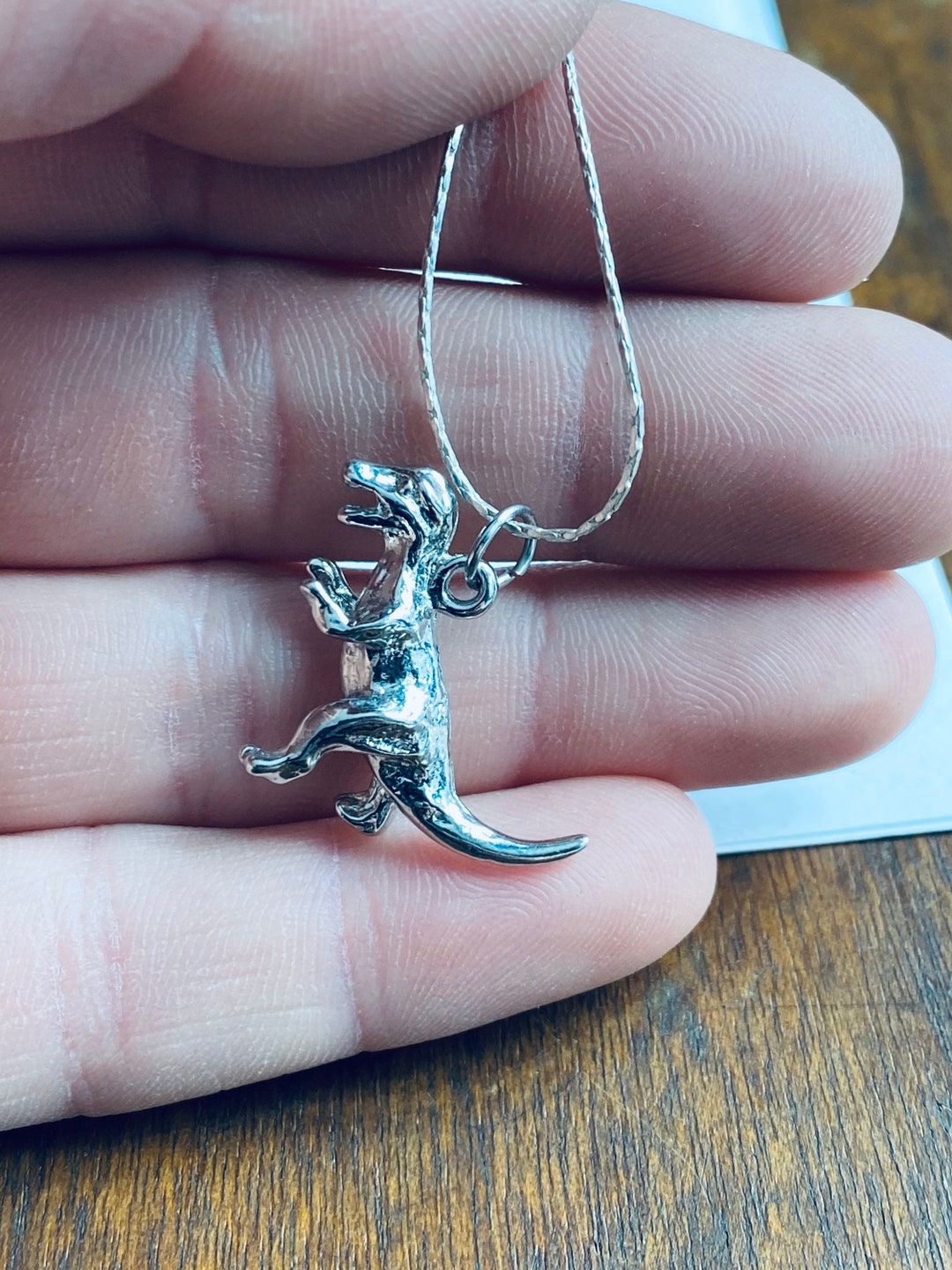 Silver T-rex Necklace: Jurassic Dinosaur Charm - Etsy Canada