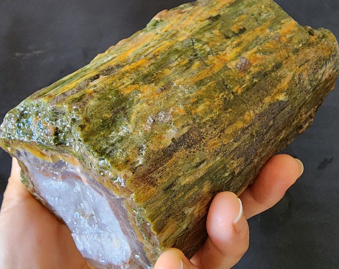 Agatized Petrified Wood Limb Cast, Fossil Rock - Etsy