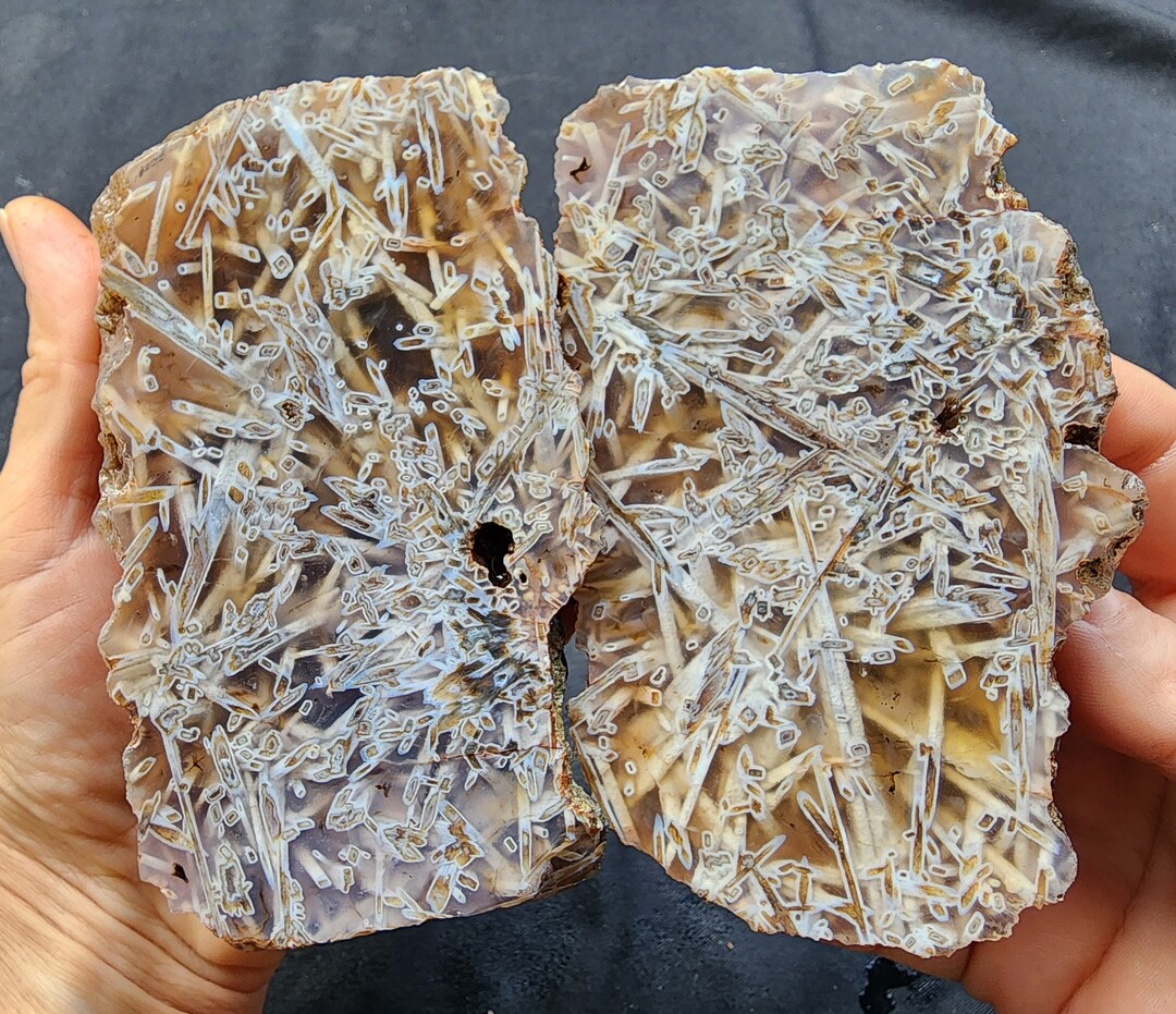 Collectible Rock, Tube Agate Pair, Collectible Stone, Agate Specimen ...