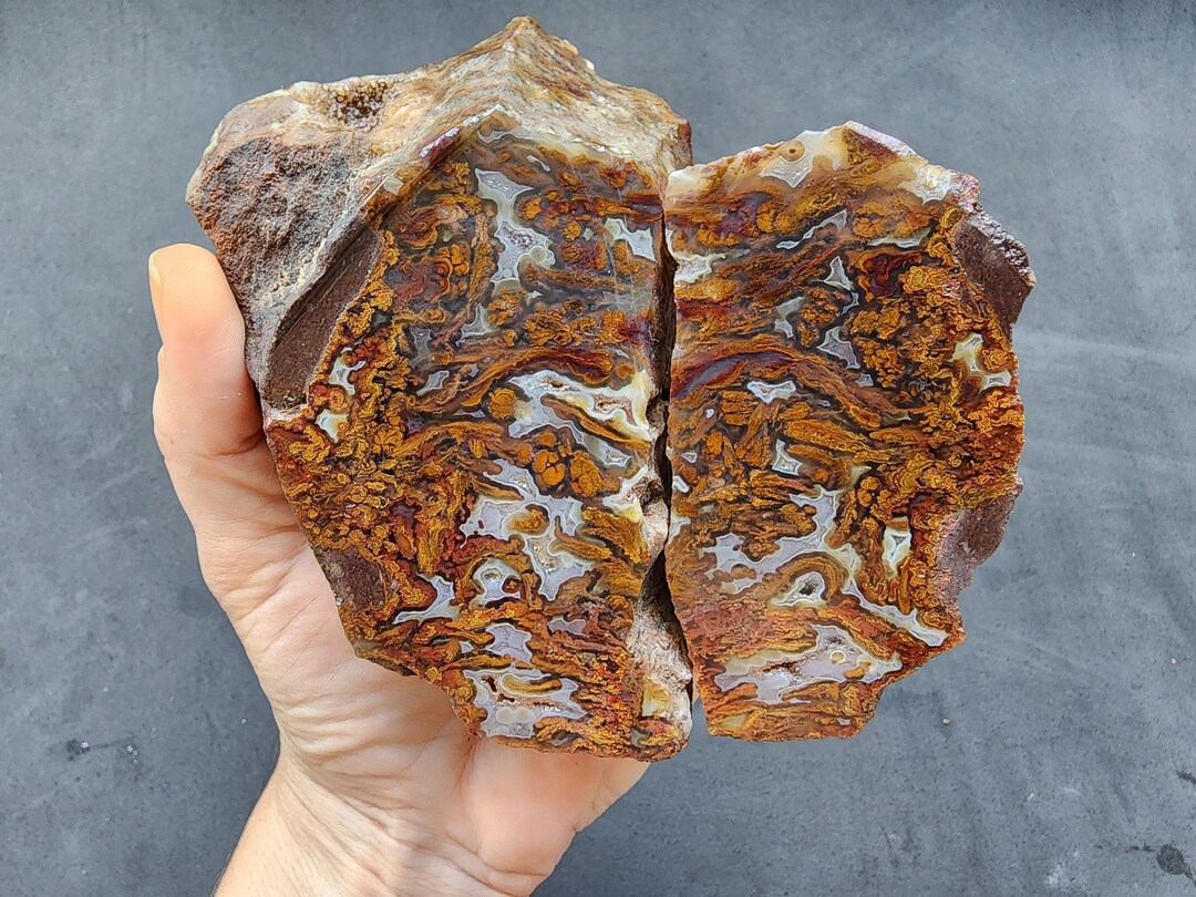 Plume Agate, Lapidary Rough, Agate Pair, Cut Rocks, Collectible Agate ...
