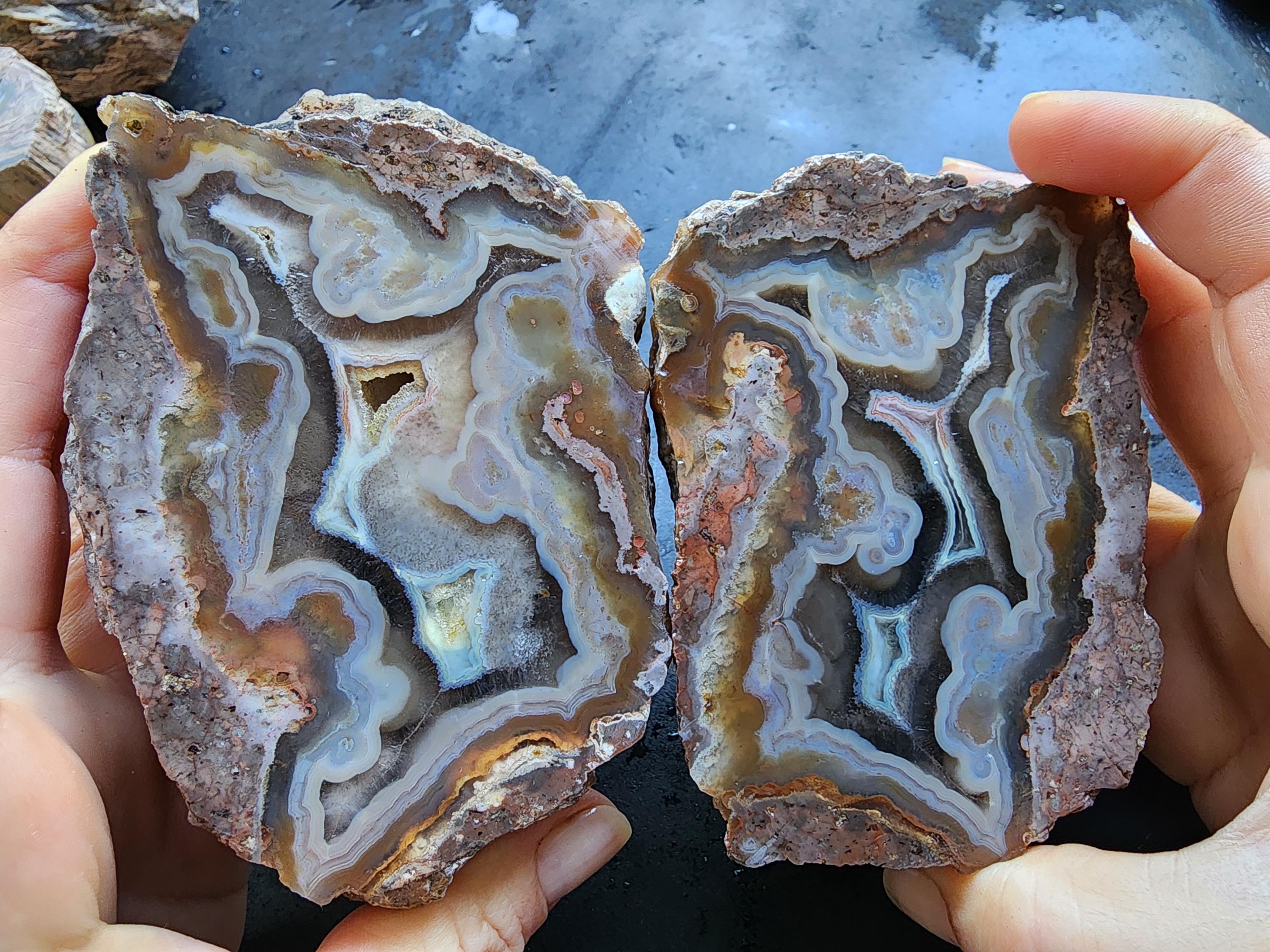 Cut Thunder Eggs, Cut Thundereggs, Decorative Rocks, Thunderegg, Office ...